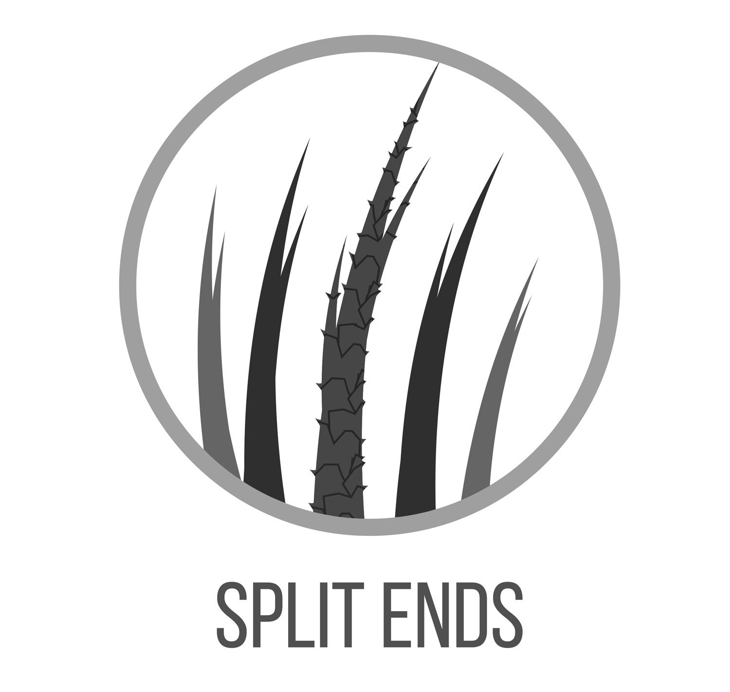 What are split ends? Its root cuases and how to get rid of split ends ...