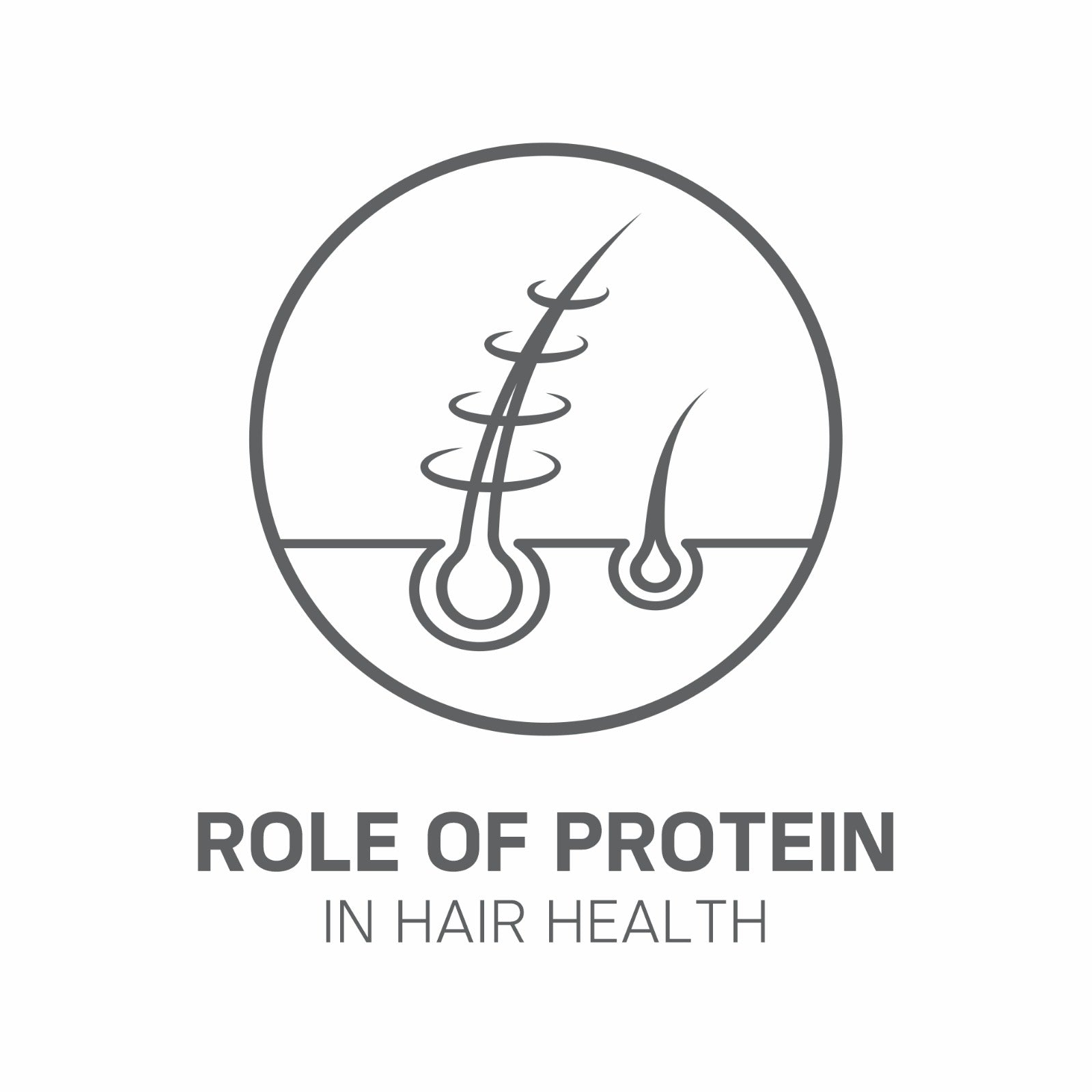 The Role Of Protein In Hair Health – Eazicolor Professional